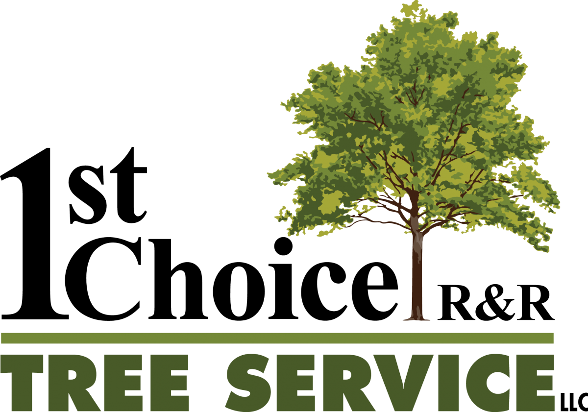 1st Choice R&R Tree Service LLC